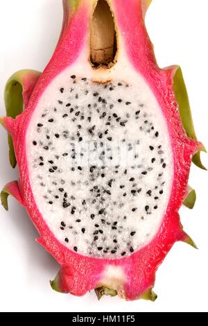 Drachenfrucht oder Pitaya Pitahaya Plantage in Thailand Hylocercus Art ...