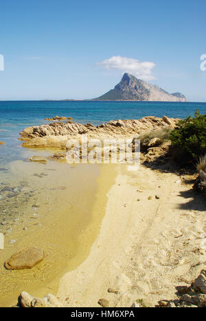 Blick auf Tavolara Stockfotografie - Alamy