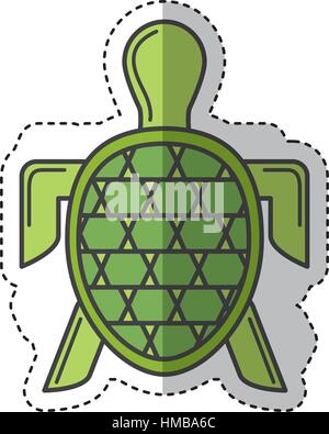 Schildkröte-Symbol. Umriss-Illustration der Schildkröte Vektor Icon für ...