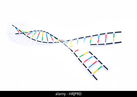 DNA-Doppelhelix Moleküle und Chromosomen, gen-Mutation, genetischen ...