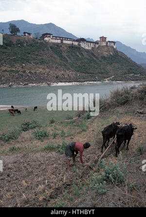 Wangdiphodrang Dzong, Wangdiphodrang Kloster, Bhutan, Himalaya ...