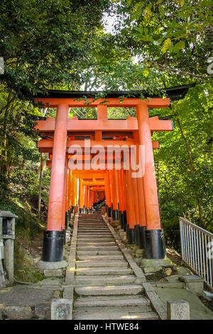 Roten Torii Tor Tunnel am Hie-Jinja Shinto Schrein, Tokyo, Japan ...