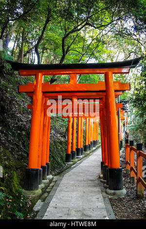 Roten Torii Tor Tunnel am Hie-Jinja Shinto Schrein, Tokyo, Japan ...