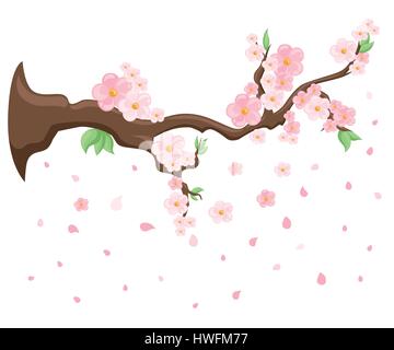 Japanische blühende Sakura Zweige mit Kirschblüten Vektor-Set. Japanische Zweig Blüte Sakura ...