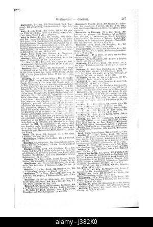 „De Ortslexikon“ von Neumann ist ein geografisches Lexikon, das Orte ...