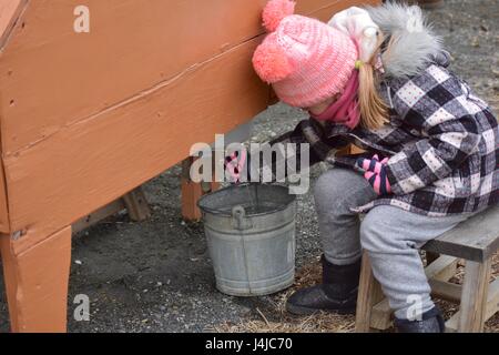 Junges Mädchen Melken am Milchviehbetrieb Stockfotografie - Alamy