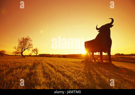 Spanien, Mallorca, silhouette, Werbung Schild, "Stier", der Balearen ...