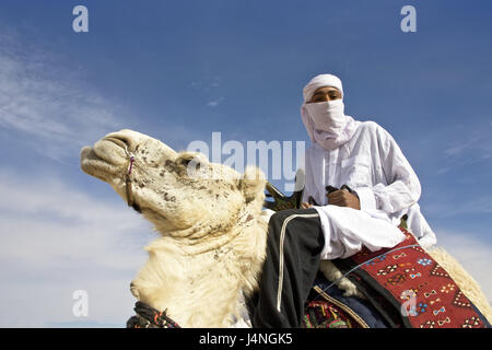Tunesien, Douz, Sahara Festival, bluten, Nord-Afrika, Sahara, Festival ...