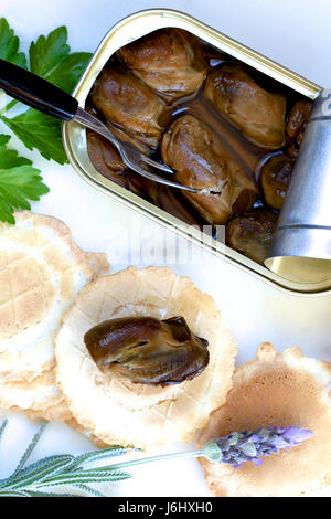 Geräucherte Austern in einer Dose mit Keksen Stockfotografie - Alamy