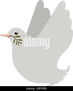 Taube, ein Symbol des Friedens und der Reinheit. Das biblische Symbol ...