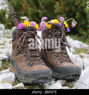 Wanderschuhe Mit Blumen in Den Bergen Stockfotografie - Alamy