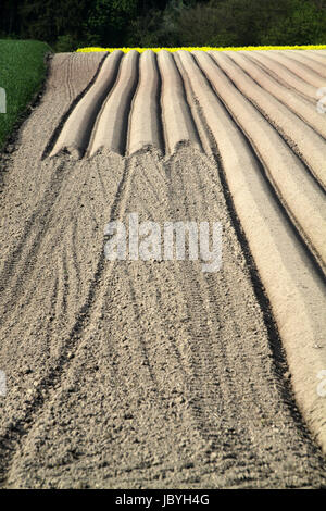 Ackerfurchen Für Karottenanbau Stockfoto, Bild: 145077118 - Alamy