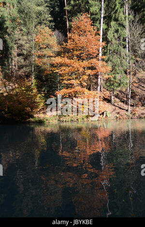 Amselsee, Herbst, Rathen, Schminken Rathen, See, Stausee, Teich, Weiher ...