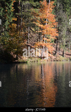 Amselsee, Herbst, Rathen, Schminken Rathen, See, Stausee, Teich, Weiher ...