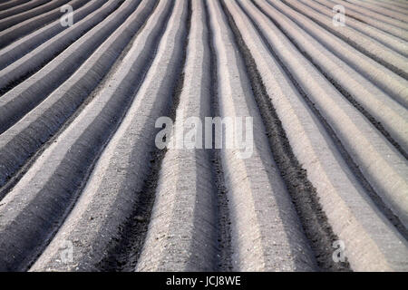 Ackerfurchen Für Karottenanbau Stockfotografie - Alamy