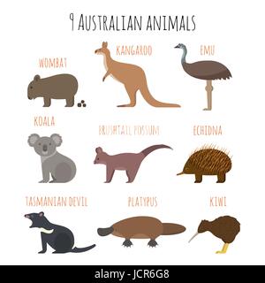 Känguru koala Wombats und die Wwu australische Flagge Karte Stock ...