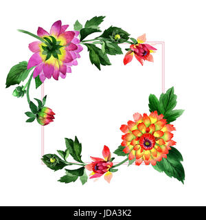 Wildflower Dahlie Blumenrahmen im Aquarell-Stil isoliert. Aquarell ...