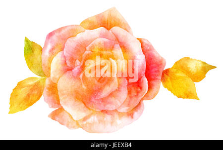 Dekorativen Gemälde von Rose auf weißem Hintergrund, moderne Kunst ...