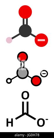 Formiat Anion, chemische Struktur. Skelettformel Stock-Vektorgrafik - Alamy