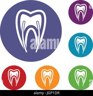 Zahn Querschnitt Symbol grün Stock-Vektorgrafik - Alamy