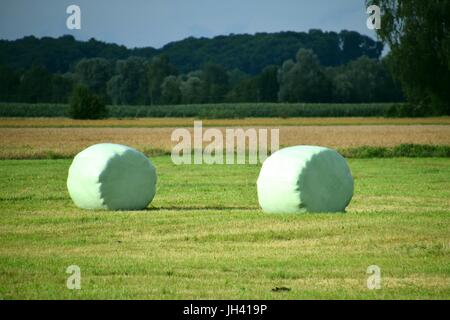 Ländliche Idylle, Silage Kugeln, Grassilage, Maissilage, Silageballen ...