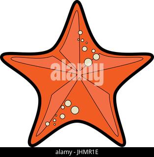 Seestern-Symbol auf weißem Hintergrund-Vektor-illustration Stock ...