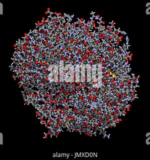 Gamma-Glutamyltranspeptidase (GGT 1, Gamma-GT, Gamma-Glutamyl ...