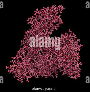 Menschlichen Serum Albumin (HSA) Protein. Häufigste Protein im ...