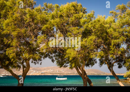Agia Irini Beach, Insel Paros, Griechenland. Wunderschöne griechische ...
