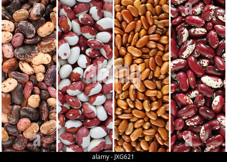 Bohnen collage-raw-lila, rosa mit Braun, Beige mit braun, weiß mit rot ...