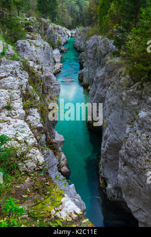 Große Soca Schlucht, der Fluss Soca, lepena Tal, die Julischen Alpen ...
