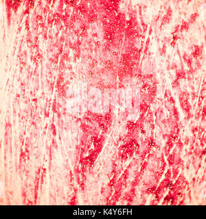 Menschliche Hautzellen Haut Anatomie Stockfoto, Bild: 75039798 - Alamy