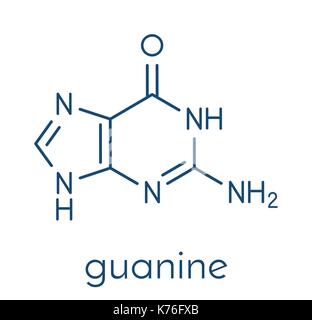 Guanin (G) Purin-Nukleobase-Molekül. Base in DNA und RNA vorhanden ...