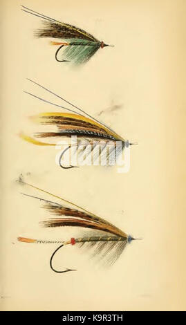 Diese Illustration aus einer Süßwasserbiologie-Studie beschreibt die ...