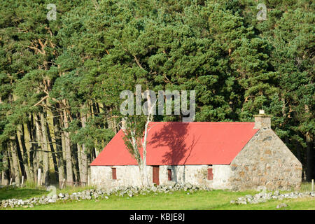 Alte croft umgewandelt in der Scheune Vor stand von Scots Kiefern in ...