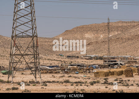 Beduinen Camp in der Wüste Negev, Israel Stockfotografie - Alamy