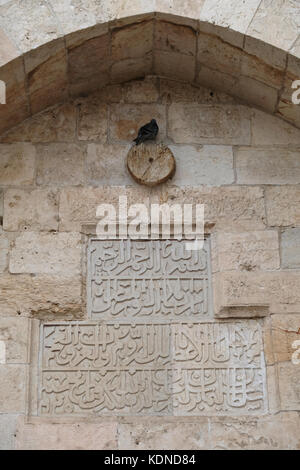 Steintafel zur Erinnerung an Sultan Suleiman, den herrlichen, in das ...