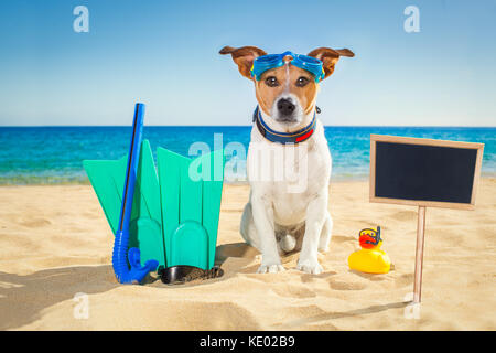 lustige Sommer Mops Hund mit Brille, Schnorchel und flossen in ...