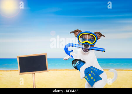 Schnorcheln Tauchen Jack Russell Hund mit Maske Schnorchel am Strand ...