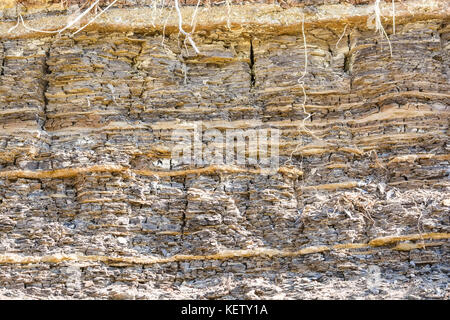 Sedimentgestein aus Sandstein Hintergrund Stockfoto, Bild: 29010834 - Alamy