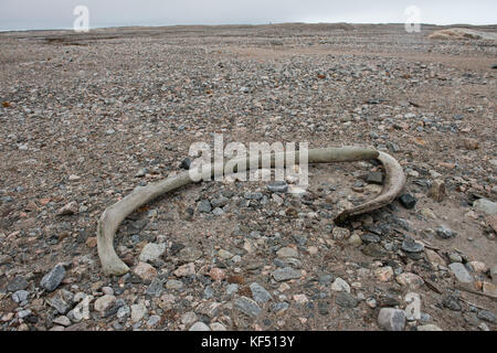 Norwegen, Spitzbergen, Nordaustlandet, desolate Insel Kvitoya. Insel ...