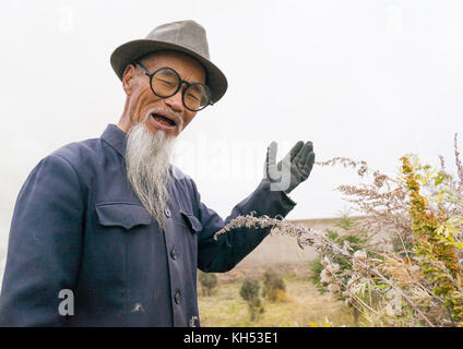 Männer Erwachsenen langen Bart Glatze Lächeln Stockfoto, Bild ...