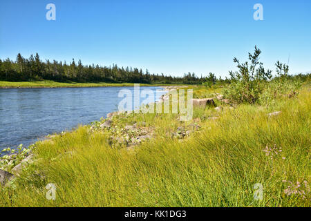 Sommer im polaren Ural, der Fluss Schluchzen. nördlichen Wasser ...
