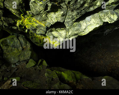 Basalt am Gangolfsberg, Naturschutzgebiet Lange Rhön, UNESCO ...