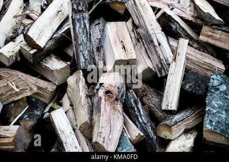 Brennholz stapeln, Feuer, Holz, Holz-Stapel - Stapel Brennholz ...