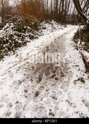 Neuschnee hat die Äste und den Boden des Waldes am Hammel Creek, Hammel ...