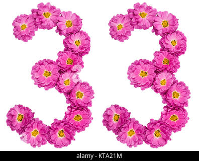 Arabische Zahlen 33, 33, von gelben Blumen aus Rose, auf weißem ...