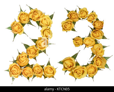 Arabische Zahlen 23, 23, von Blumen der Chrysantheme, auf weißem ...