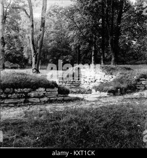 Die Ruine des Klosters Riseberga, eine historische Stätte in Edsberg ...