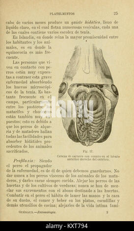 Diese Seite von „Entomología y parasitología Agrícolas“ behandelt die ...